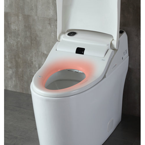 RunFine Group 1.28 GPF Elongated Floor Mounted Bidet Toilet (Seat Included) | Wayfair